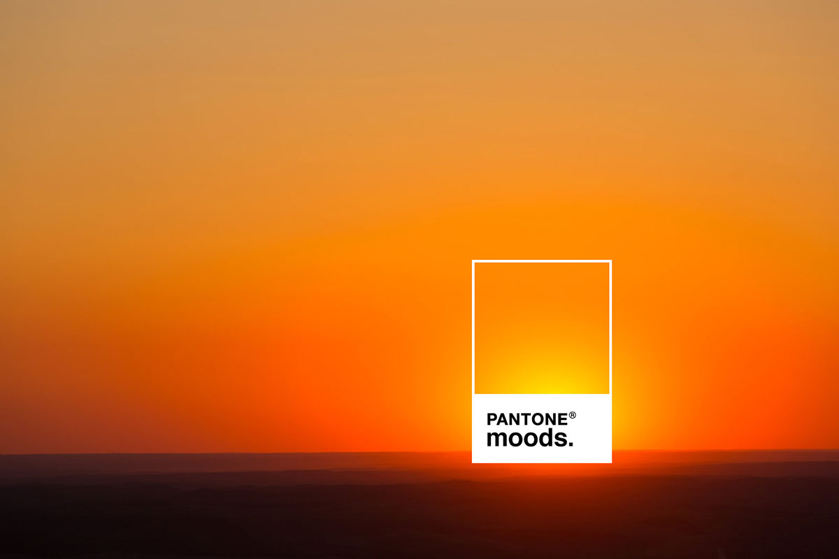 ERA404 to Sunset PANTONE Moods | ERA404